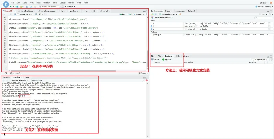 使用 Docker 部署 RStudio 的保姆级别教程,带你快速搭建一个Rstudio环境 - 生信圆桌
