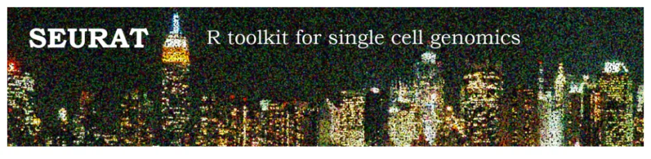 在 Docker 版 RStudio 中安装 Seurat V4 的完整教程 （同样适用于普通R环境安装） - 生信圆桌