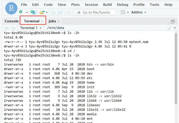 西柚云 Rstudio Server 使用教程 - 生信圆桌