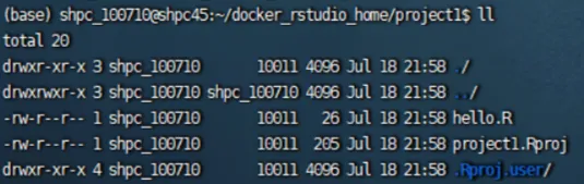 使用 Docker 部署 RStudio 的保姆级别教程,带你快速搭建一个Rstudio环境 - 生信圆桌