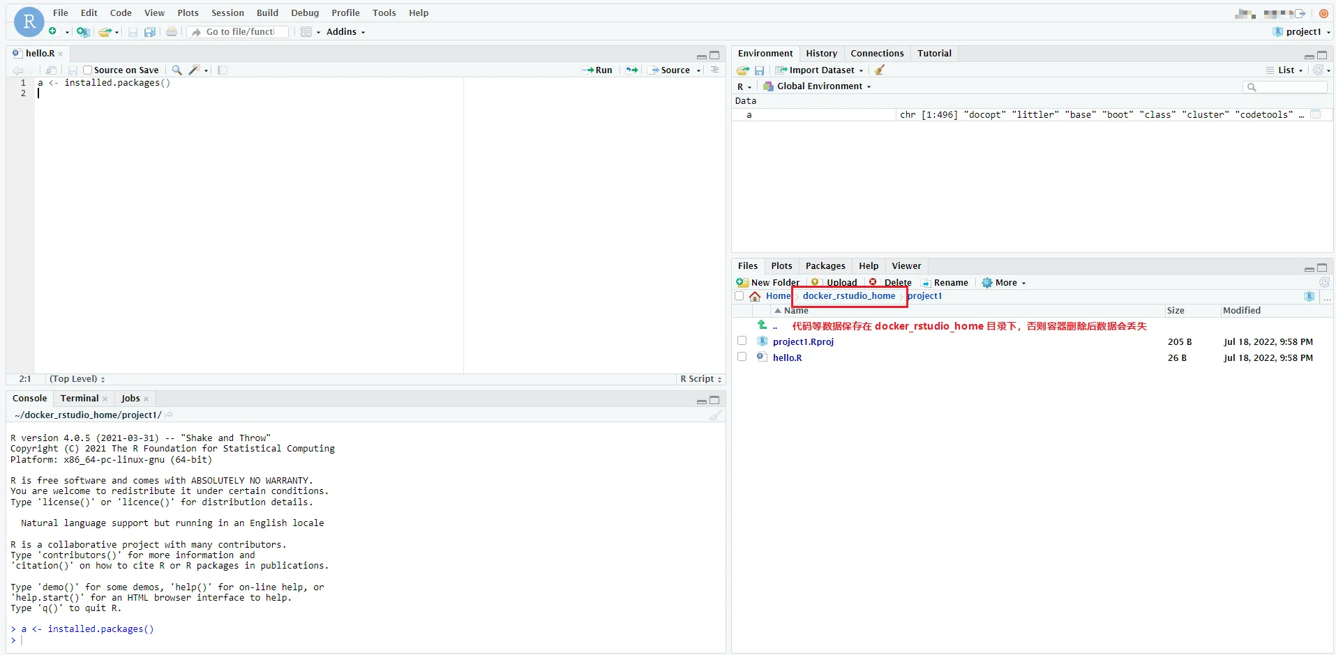 使用 Docker 部署 RStudio 的保姆级别教程,带你快速搭建一个Rstudio环境 - 生信圆桌